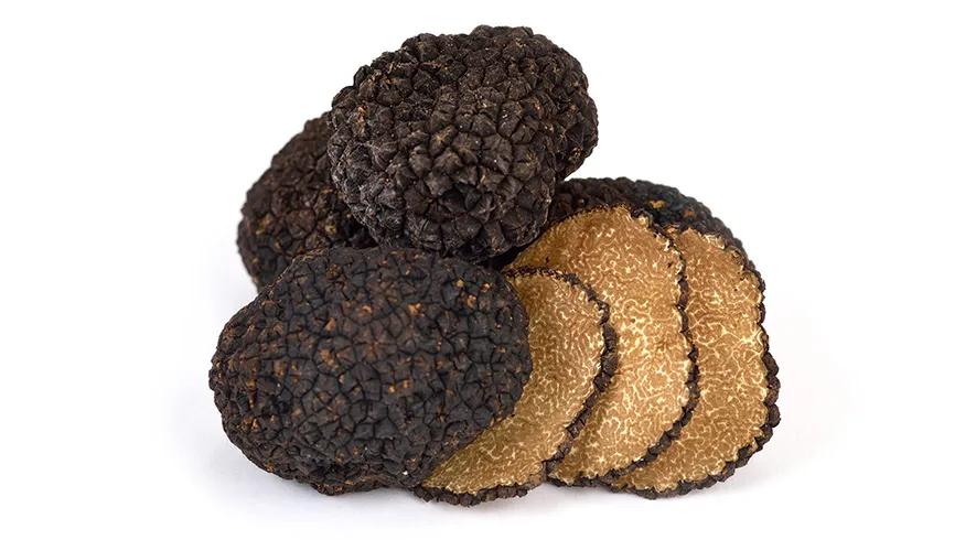 Burgundy Truffle