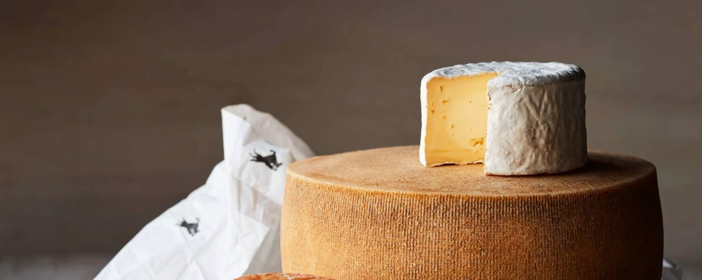 New Year: New Favorite Cheese