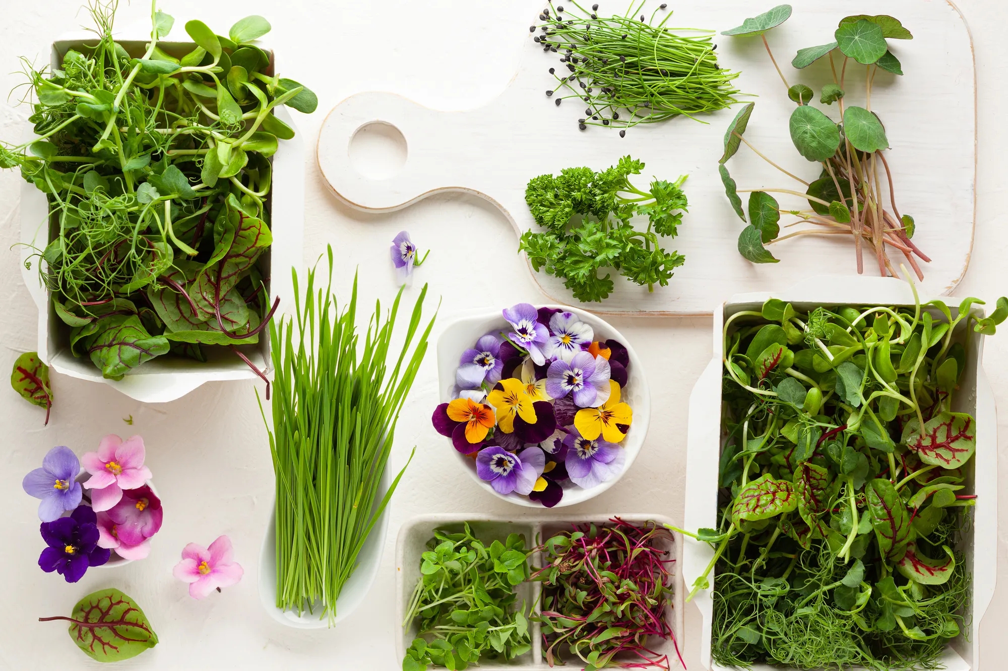 Farmers Market Program